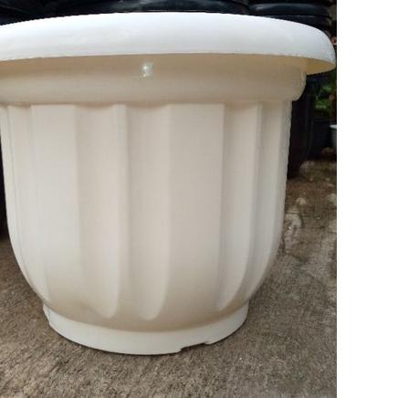 Jual POT BUNGA TANAMAN BESAR EBBONY UK 60/POT TANAMAN JUMBO BESAR ...