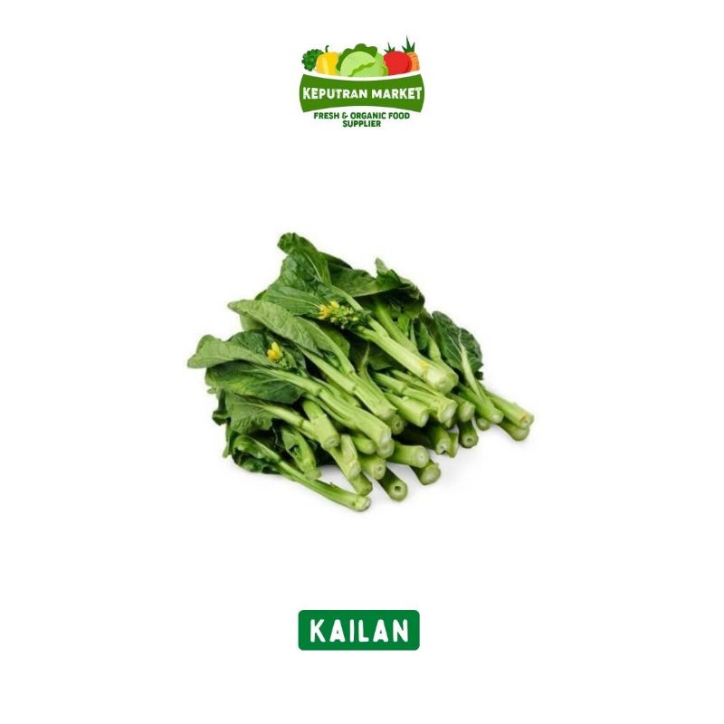 Jual Daun Kailan Per Kg / Produk Langka | Shopee Indonesia