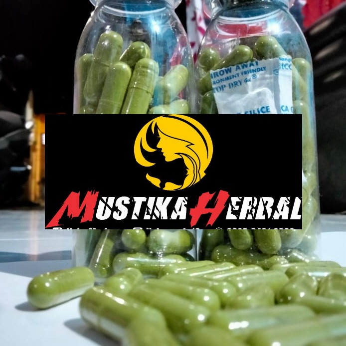 Jual Kapsul Daun Sambiloto dan Pare Mix Campur isi 100pcs Kemasan ...