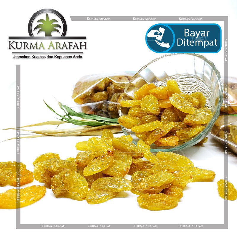 Jual Kismis Golden Raisin Jumbo / Kismis Asam Manis JUMBO / Kismis ...