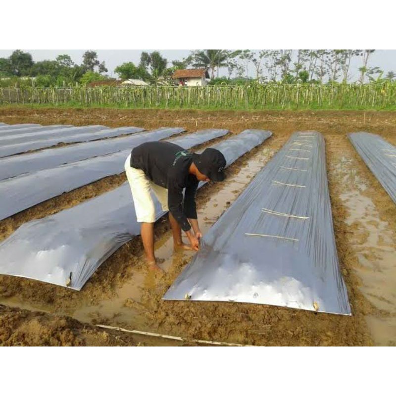 Jual PLASTIK HITAM PERAK - PLASTIK BEDENGAN LEBAR 1 METER KEMASAN 1 KG | Shopee Indonesia