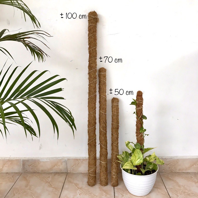 Jual Turus penyangga tanaman rambat | Shopee Indonesia