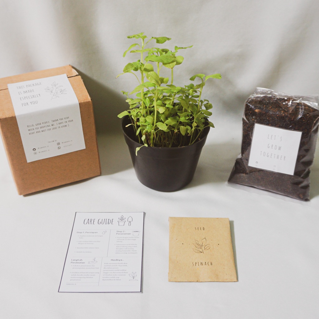 Jual Self Planting Kit/ Kado Tanaman/ Hampers Ulang Tahun/ Kado Ulang ...