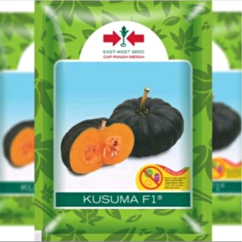 Jual Benih labu besar hibrida F1 KUSUMA kemasan 225 gram | Shopee Indonesia
