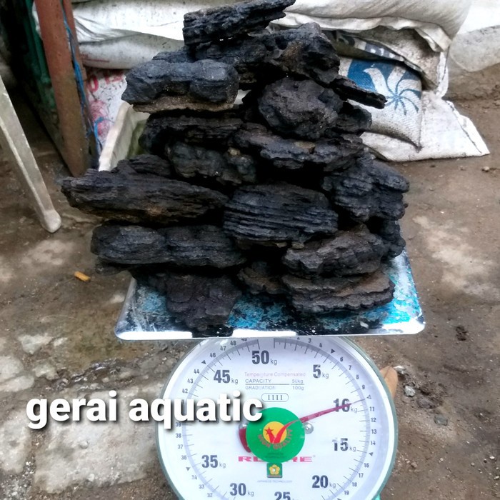 Jual 1karung batu besi unzan stone aquascape hardscape aquarium ...