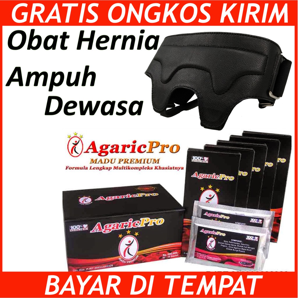 Jual Obat Hernia Dewasa - Obat Hernia Herbal - Paket Agaricpro & Celana ...
