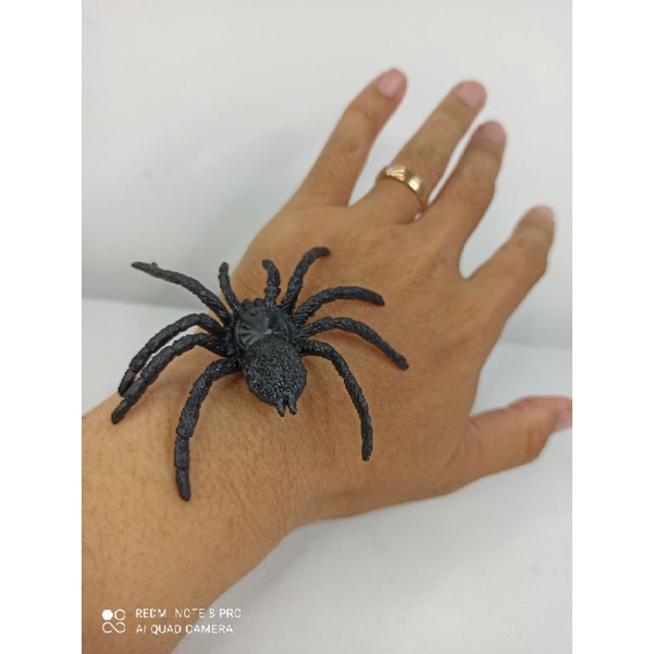 Jual mainan laba laba karet besar hitam 8cm | Shopee Indonesia