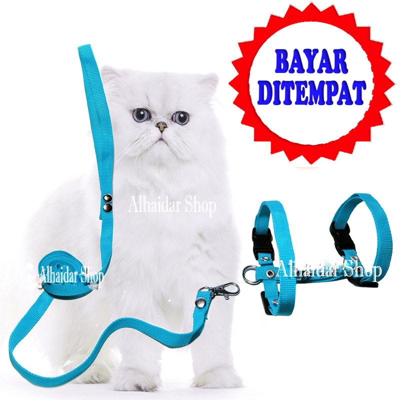 Jual tali tuntun kucing model h anjing | Shopee Indonesia
