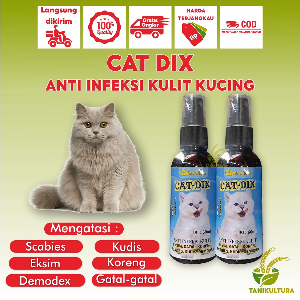 Jual Obat Jamur Kucing CATDIX Spray Ampuh Mengatasi Penyakit Kulit ...
