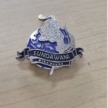 Jual PIN BESI TEBAL KUALITAS BAGUS CUSTOM LOGO | Shopee Indonesia