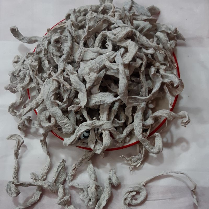 Jual Manisan Mangga Putih Kering 1Kg | Shopee Indonesia