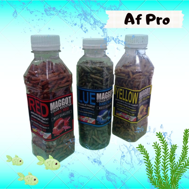 Jual Makanan Ikan chana FISH LOVER MAGGOT BOTOL Red Blue Yellow 60gr ...