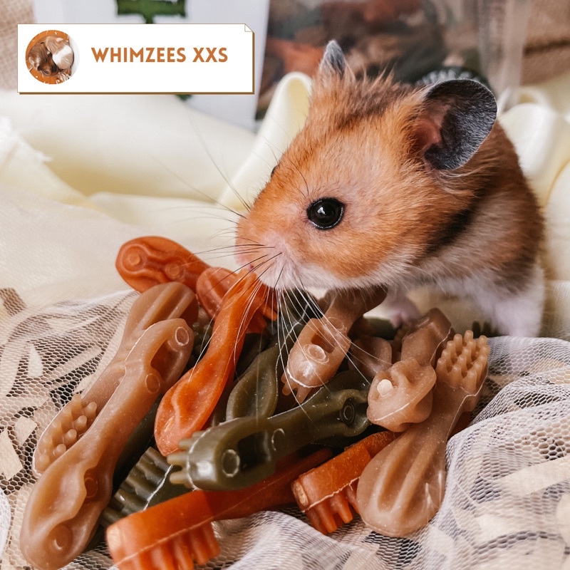 Jual MIJIU | [BUNDLING] Whimzees Toothbrush XXS Hamster | Chew Toy ...