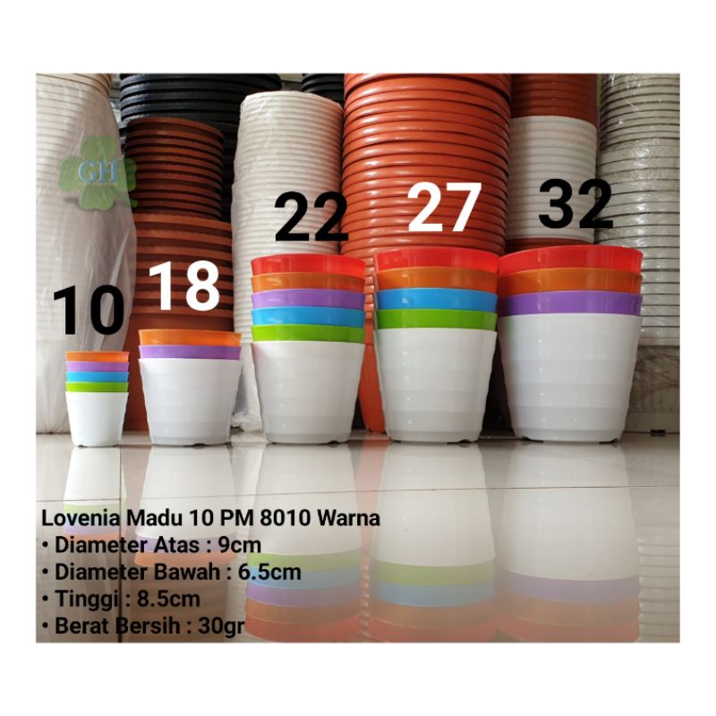 Jual Pot Lovenia Madu 10 PM 8010 Warna - Tanaman Hias Bunga | Shopee Indonesia