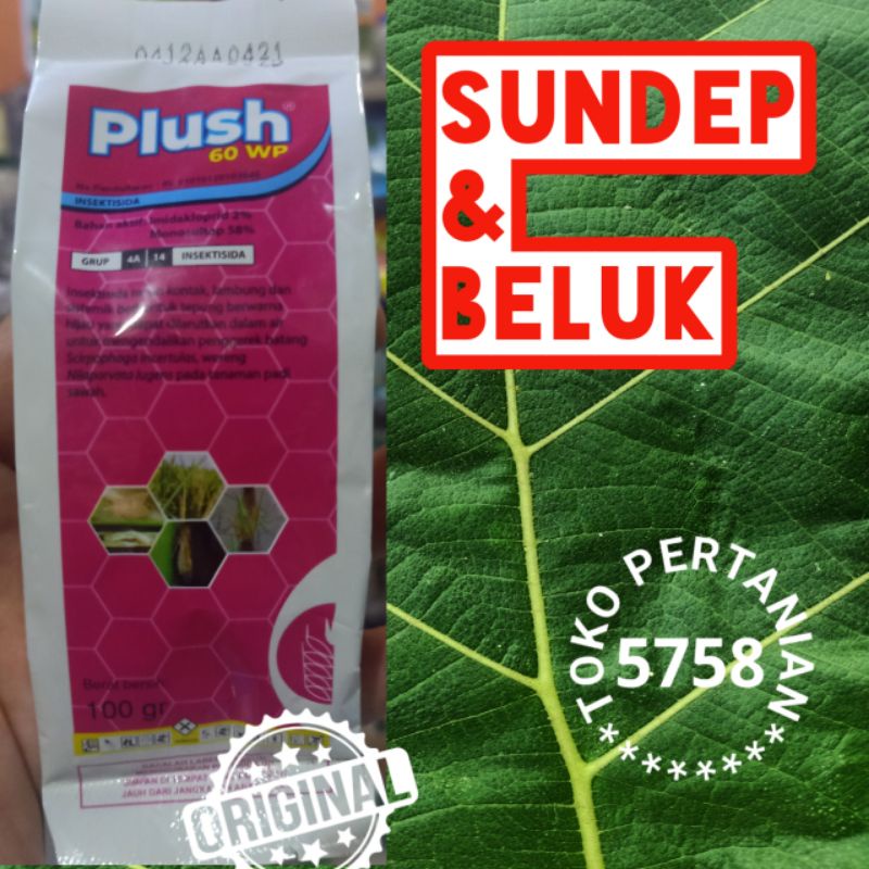 Jual Insektisida PLUSH 60 WP 100 GR - Mengendalikan Penggerek Batang ...