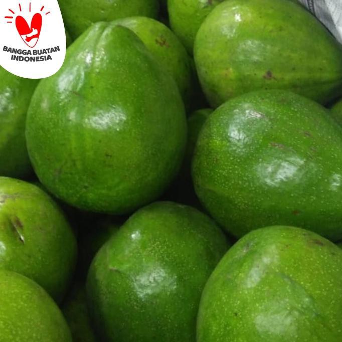 Jual SAYUR & BUAH BUAH ALPUKAT PAPUA RAJA KUNING MENTEGA AVOCADO BUTTER ...