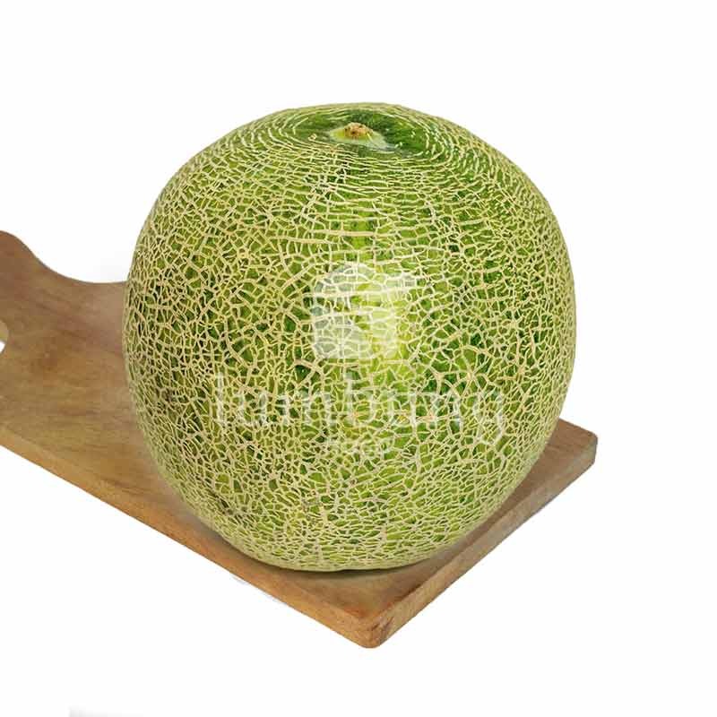 Jual Melon Sky Rocket (1 kg) | Shopee Indonesia