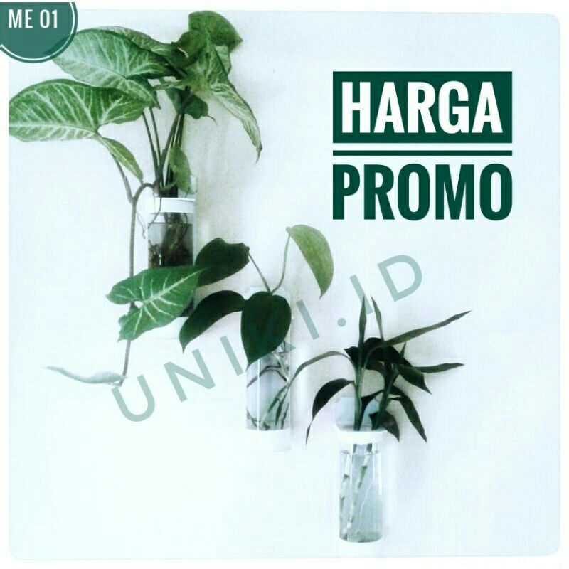 Jual Pot Bunga Tempel Dinding Tabung Kaca Panjang | Shopee Indonesia