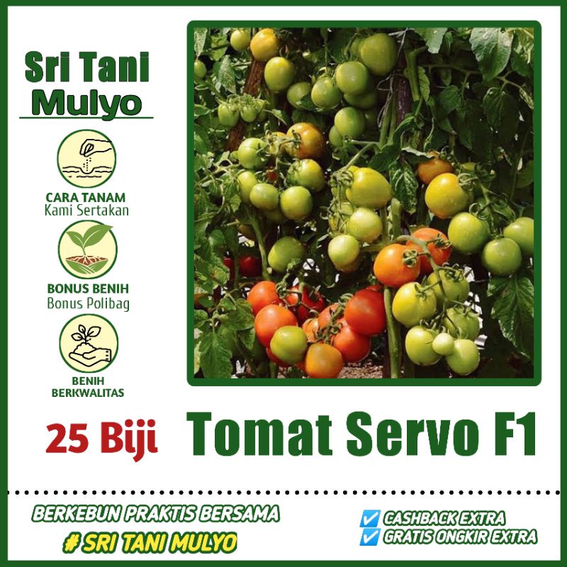 Jual 25 Biji - Benih Tomat SERVO F1 - Cap Panah Merah - Bibit Sayuran ...