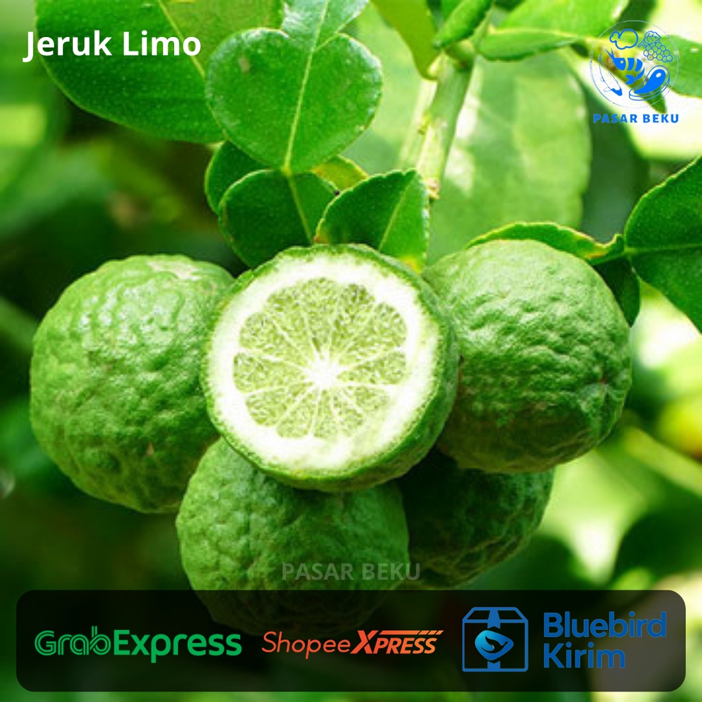 Jual (Khusus AREA SUMBAR) Jeruk Limo Jeruk Pecel 250 Gram Bumbu Dapur Pasar Beku Padang | Shopee ...