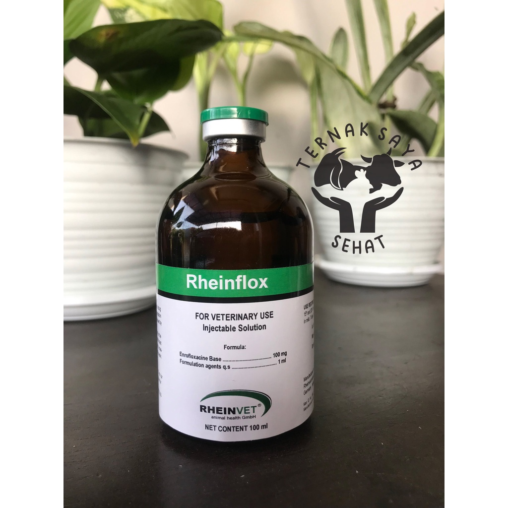 Jual Obat Hewan RHEINFLOX (Enrofloxacin 10%) | Shopee Indonesia