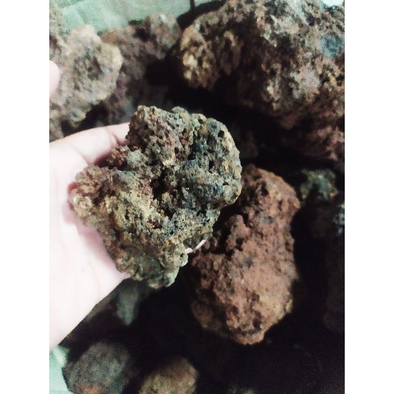 Jual batu lava rock aquascape per 1 kg | Shopee Indonesia