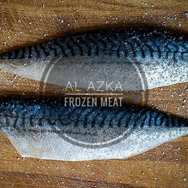 Jual lkan Makarel Fillet Grade B / Ikan Saba / Mackerel Fillet / Ikan ...
