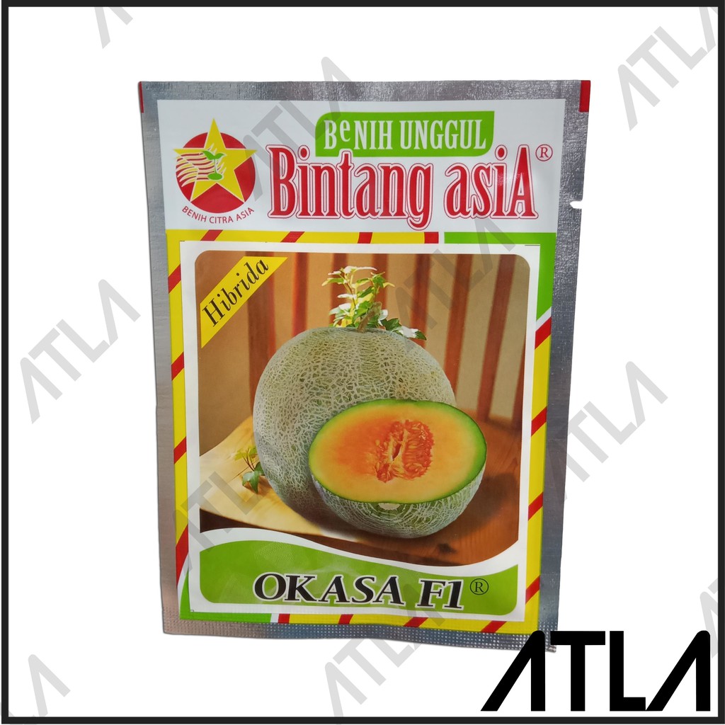 Jual Benih Rock Melon Hibrida Okasa F1 Biji Tanaman Buah Bibit Bintang ...