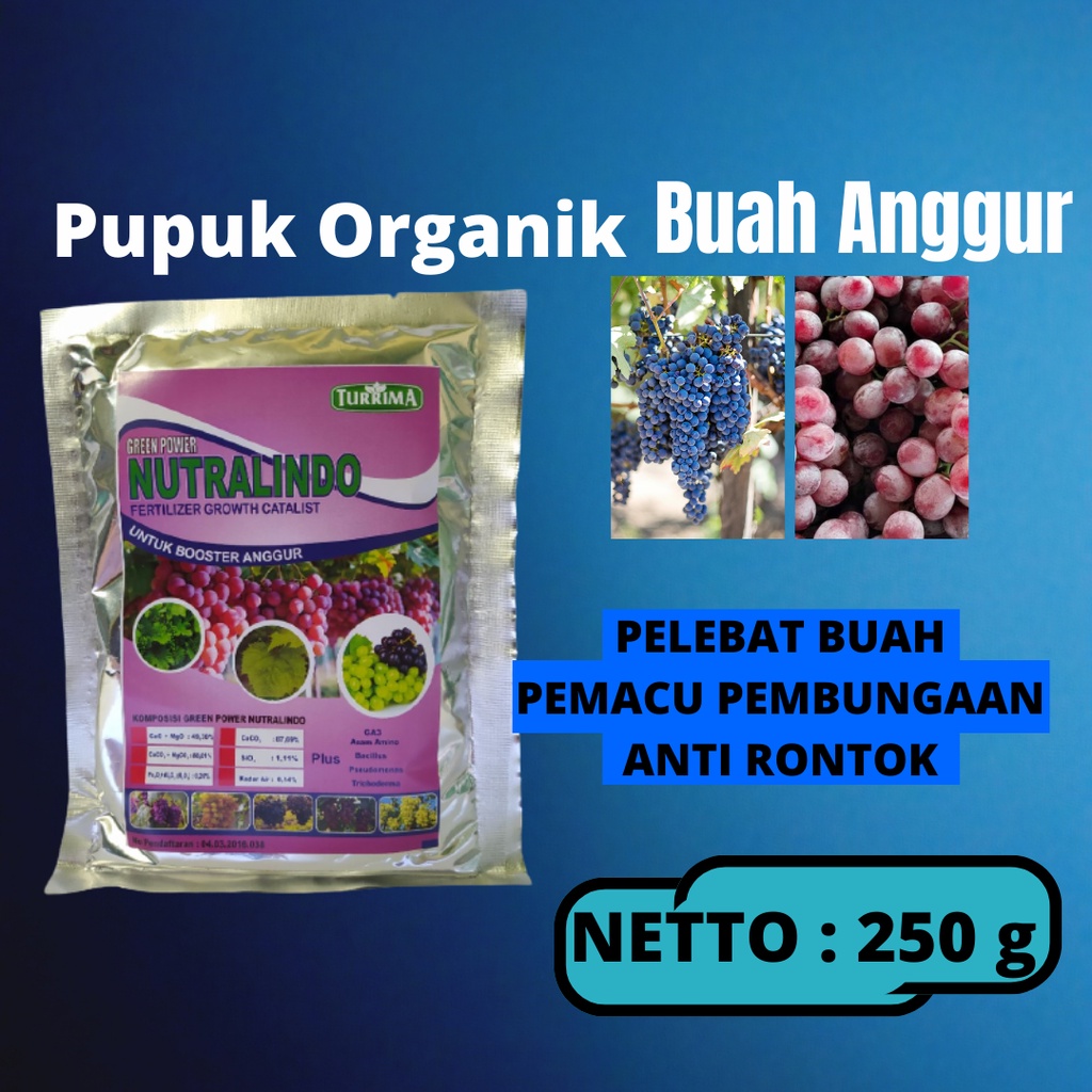 Jual Pupuk Boster buah anggur pemicu buah tumbuh besar, Booster Organik ...