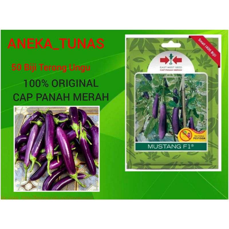 Jual 50BIJI TERONG UNGU MUSTANG F1 CAP PANAH MERAH 100% ORIGINAL | Shopee Indonesia
