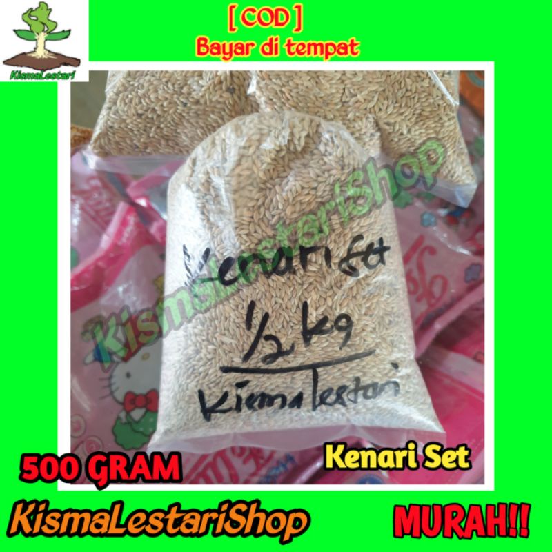Jual Pakan Kenari 1Kg Kenari set Murah!! | Shopee Indonesia