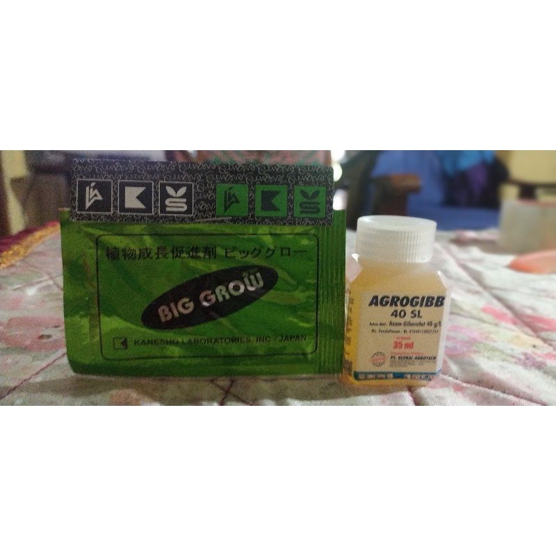 Jual paket Bigrow biggrow big grow plus agrogibb paket premium ga3 ...