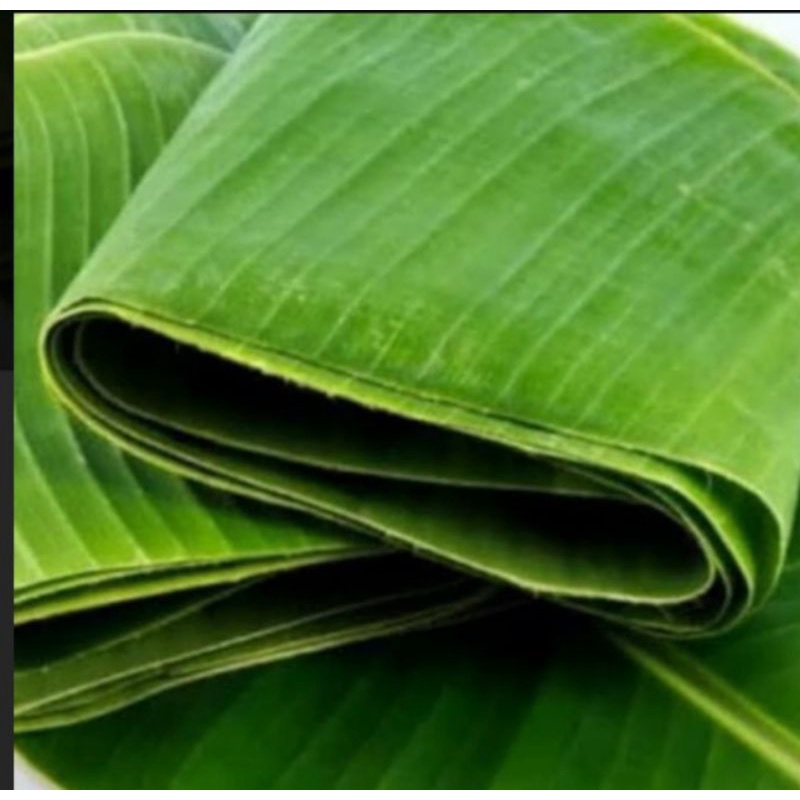 Jual DAUN PISANG LANSUNG DARI KEBUN FRESH ( 1 PACK - 10 LEMBAR ...