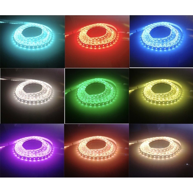 Jual Lampu LED Strip 12 Volt - 24 Volt 5 Meter 12V 24V | Shopee Indonesia