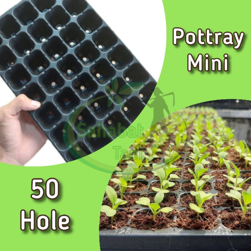 Jual Pot tray mini_tray semai_50 hole | Shopee Indonesia