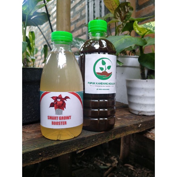 Jual POC Pupuk organik cair,zpt zat pengatur tumbuh yang terbuat dari ...