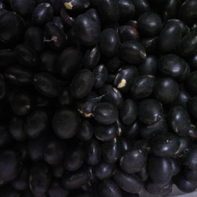 Jual Kacang kedelai hitam 500g | Shopee Indonesia