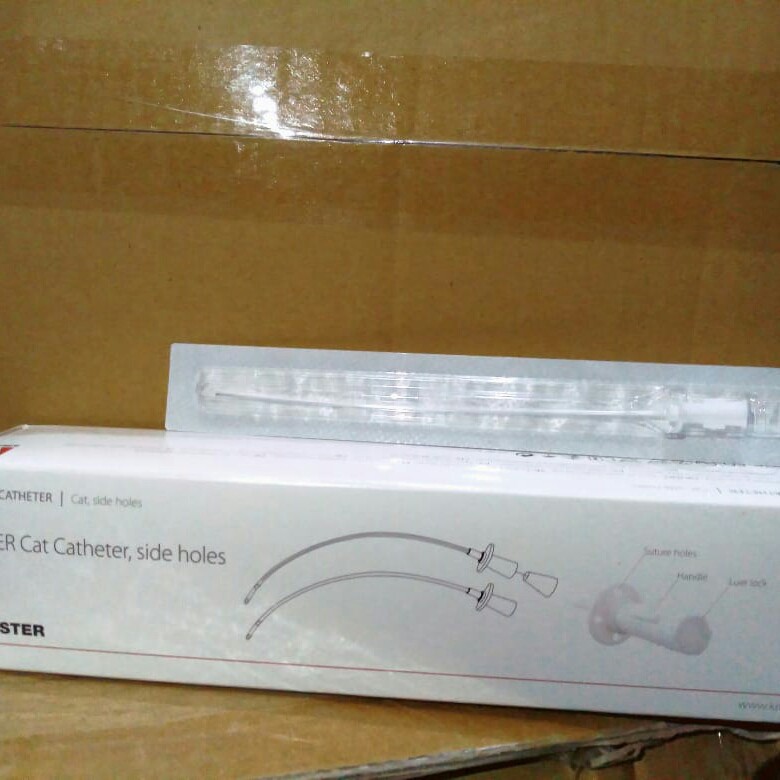 Jual Buster Sterile Cat Catheter With Stylet 1.3 Kruuse Denmark isi 12 ...