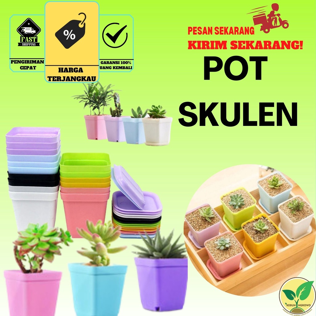 Jual Pot Tanaman Skulen Pot Tanaman Hias Pot Mini 7 cm | Shopee Indonesia