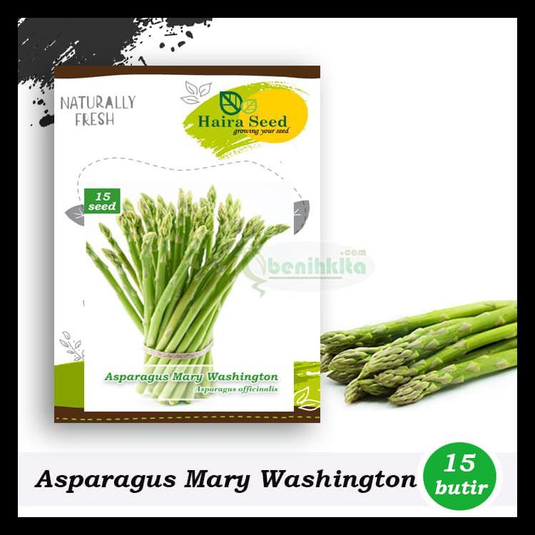 Jual BENIH-BIBIT ASPARAGUS MARY WASHINGTON (HAIRA SEED) | Shopee Indonesia
