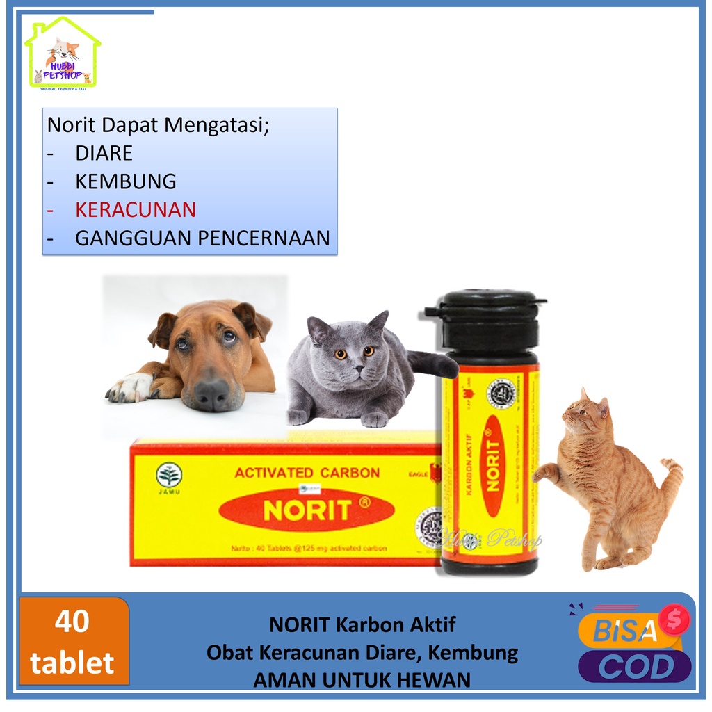 Jual Norit Obat Diare Kucing Anjing 40 Tablet – Karbon Aktif Aman Atasi ...