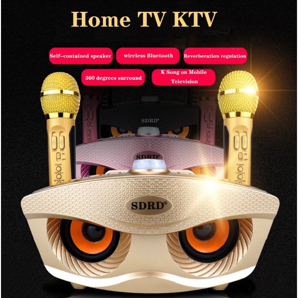 Jual SDRD SD 306 SPEAKER KARAOKE BLUETOOH SDRD SD306 DENGAN 2 ...