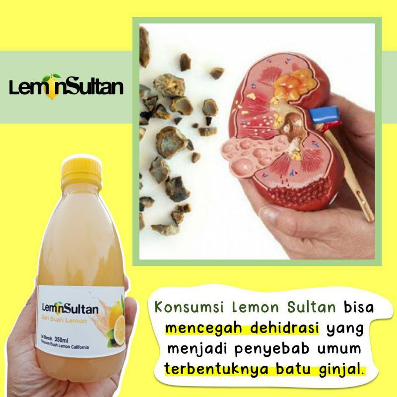 Jual Lemon Sultan | Shopee Indonesia