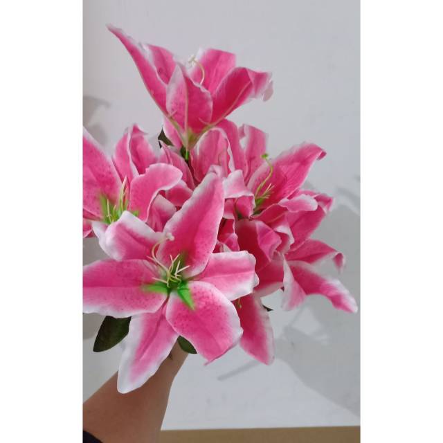 Jual Bunga lili besar | Shopee Indonesia