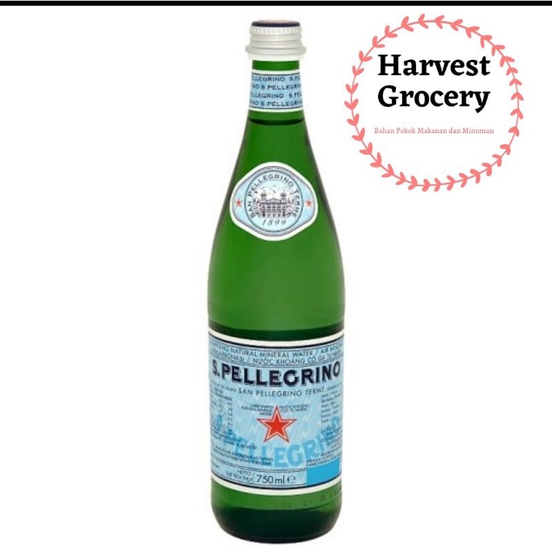 Jual San Pellegrino Sparkling Natural Mineral Water 750ml x 12 btl | Shopee Indonesia