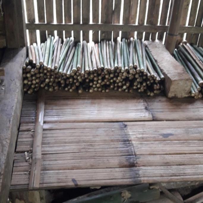 Jual Bambu Pletokan Paket 10 kg | Shopee Indonesia