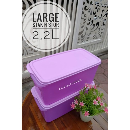 Jual Large freshia ungu (1 pcs) | Shopee Indonesia