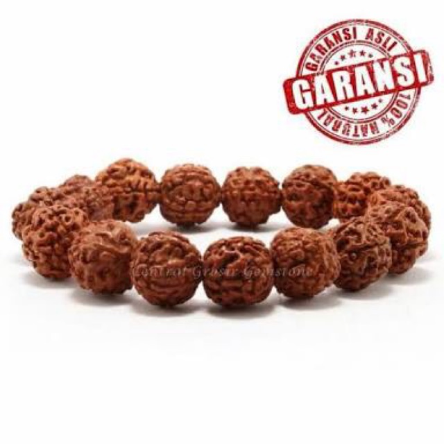 Jual BIJI BUAH GENITRI / JENITRI. UNTUK KESEHATAN | Shopee Indonesia
