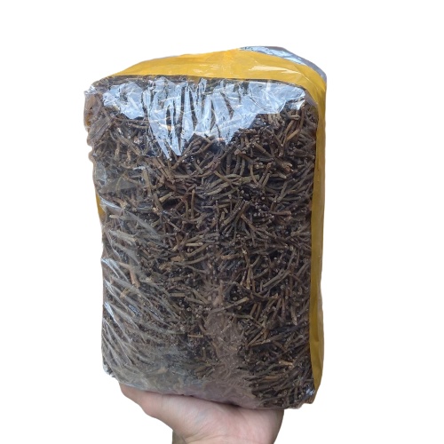 Jual Termurah Gagang Cengkeh Kering 200 gram - pakang / gagang ...