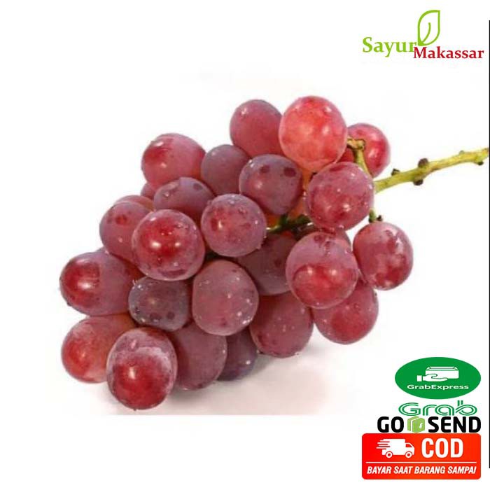 Jual Buah Anggur Merah Import 1 Kg / Belanja Buah Segar Fresh Makassar ...